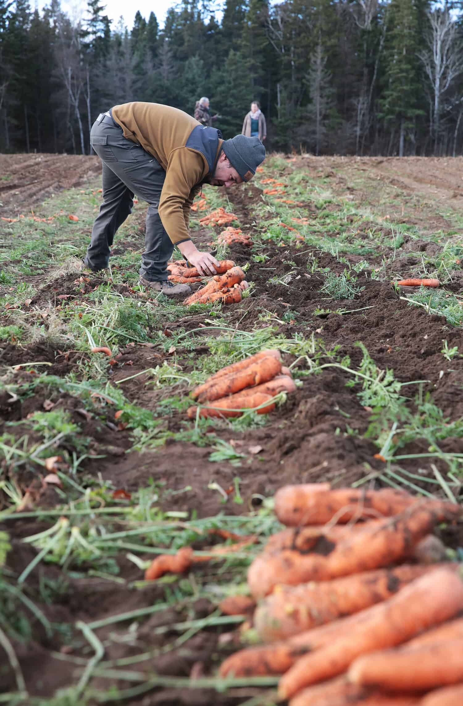 Benoît XVI et moi | Benjamin Boivin | PORTRAIT | Le Verbe