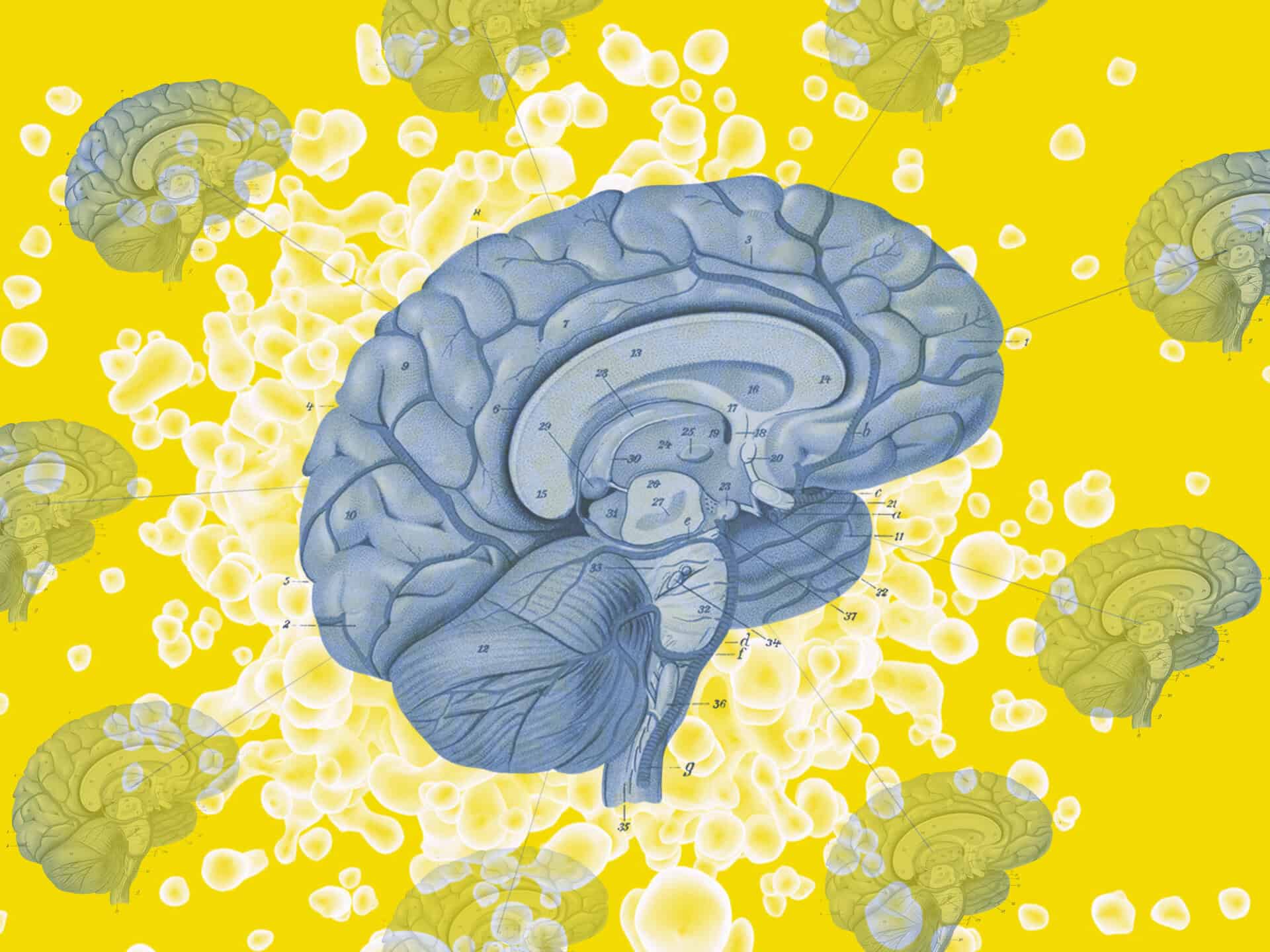 Benoît XVI et moi | Benjamin Boivin | PORTRAIT | Le Verbe