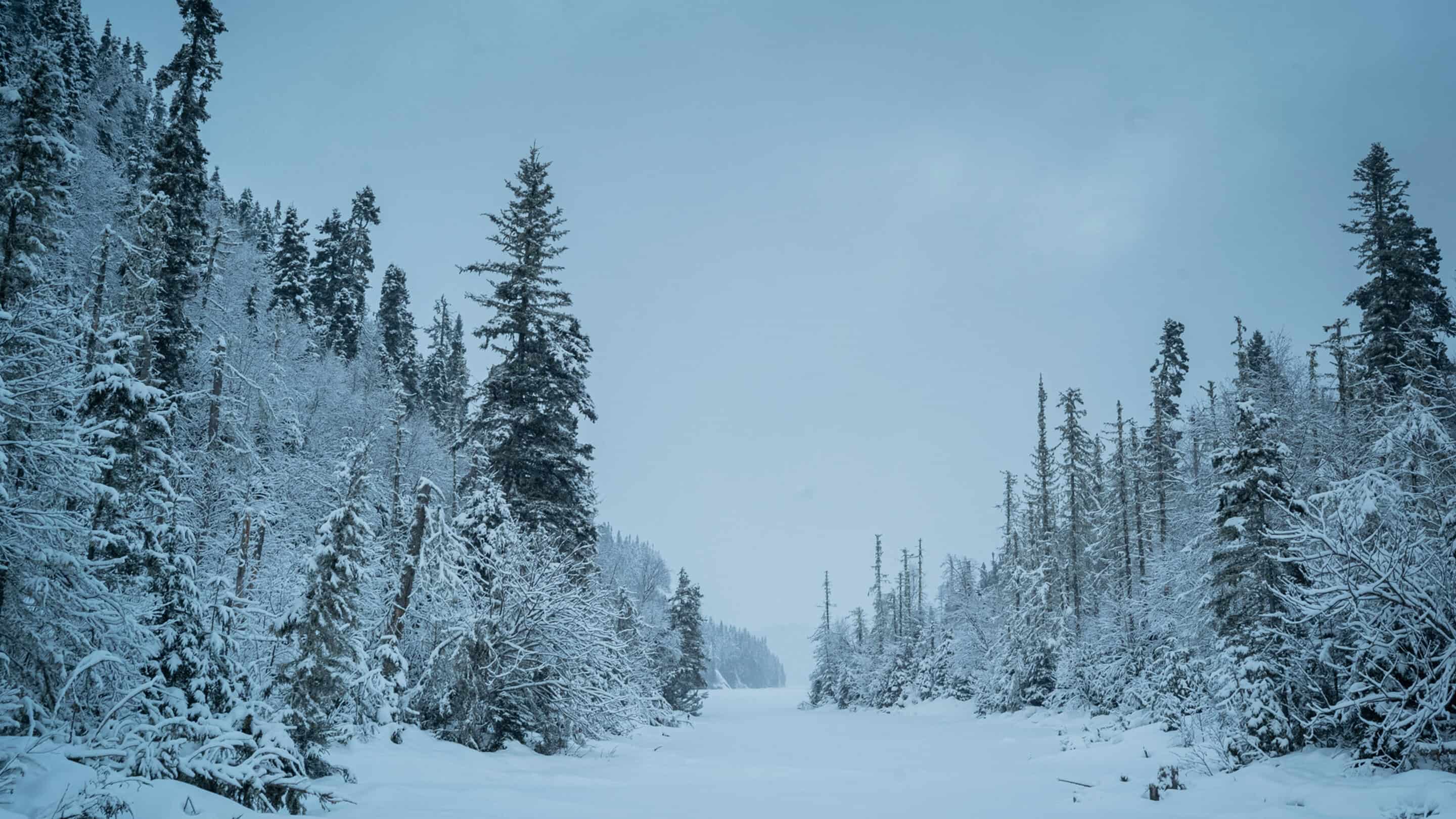 Benoît XVI et moi | Benjamin Boivin | PORTRAIT | Le Verbe
